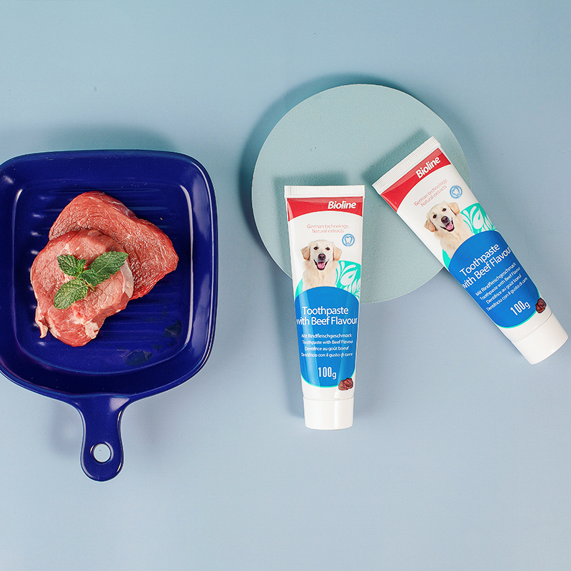 Beef Flavored Toothpaste Set for Dogs 100g | Shopee Philippines