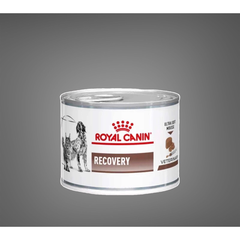 ROYAL CANIN RECOVERY Wet Food 195g | Shopee Philippines
