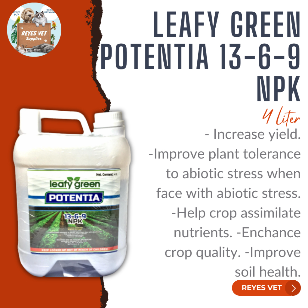 [VET SUPPORT] Leafy Green Potentia 13-6-9 NPK FOLIAR 4 liter Plant Booster Para sa halaman ...