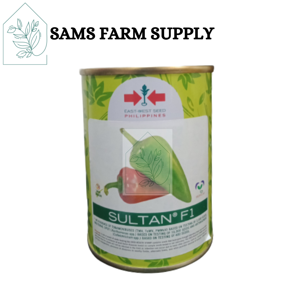 SULTAN F1 SWEET PEPPER SEEDS 25 GRAMS CAN BY EAST-WEST | Shopee Philippines