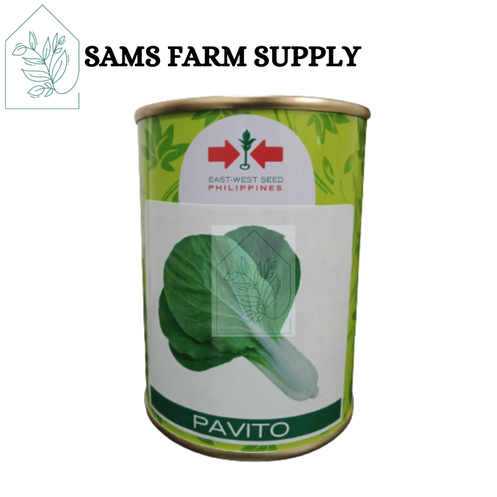 PAVITO PECHAY SEEDS 100 GRAMS CAN BY EAST-WEST | Shopee Philippines
