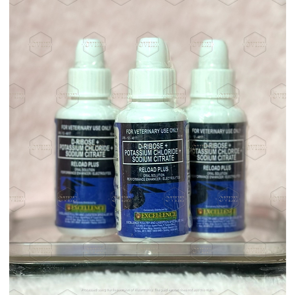 RELOAD PLUS for Pigeon Performance Enhancer by ROCKDOVE | Shopee ...