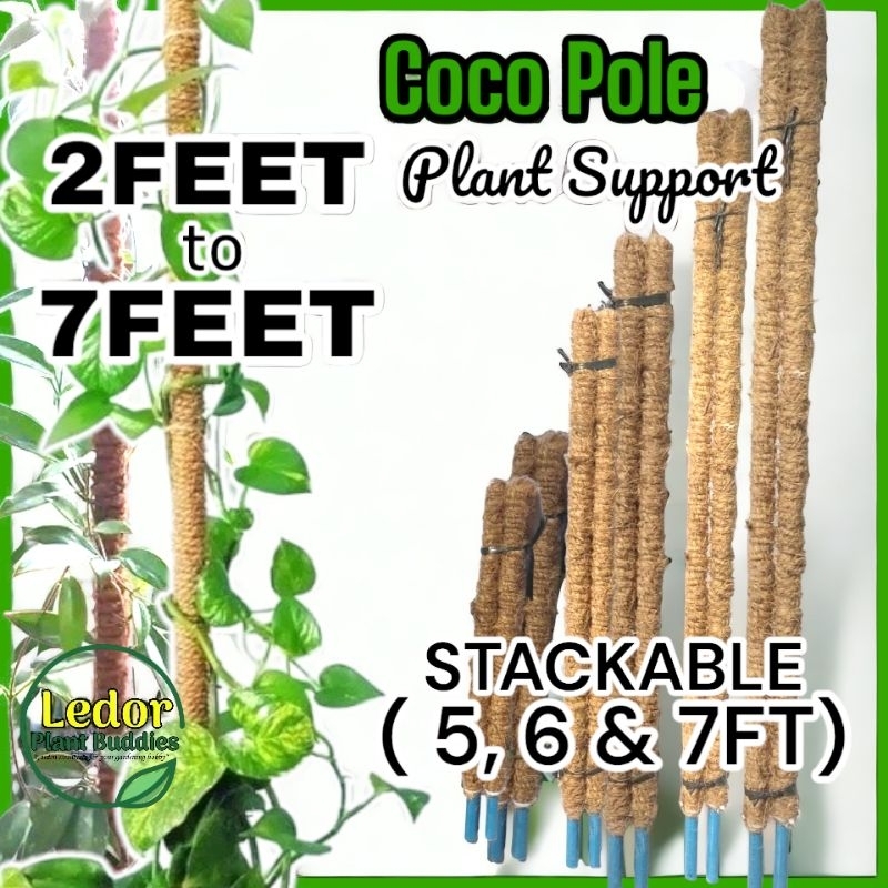Coco Pole Plant Support Stick For Climbing Trailing Plant 2ft 3ft