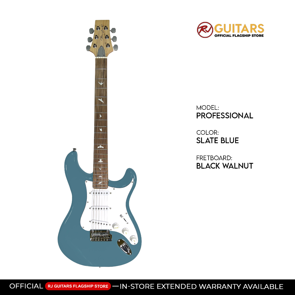 RJ Vibecaster Electric Guitar (Silversky, Stratocaster) | Shopee ...