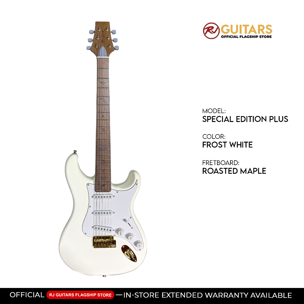 RJ Vibecaster Electric Guitar (Silversky, Stratocaster) | Shopee ...