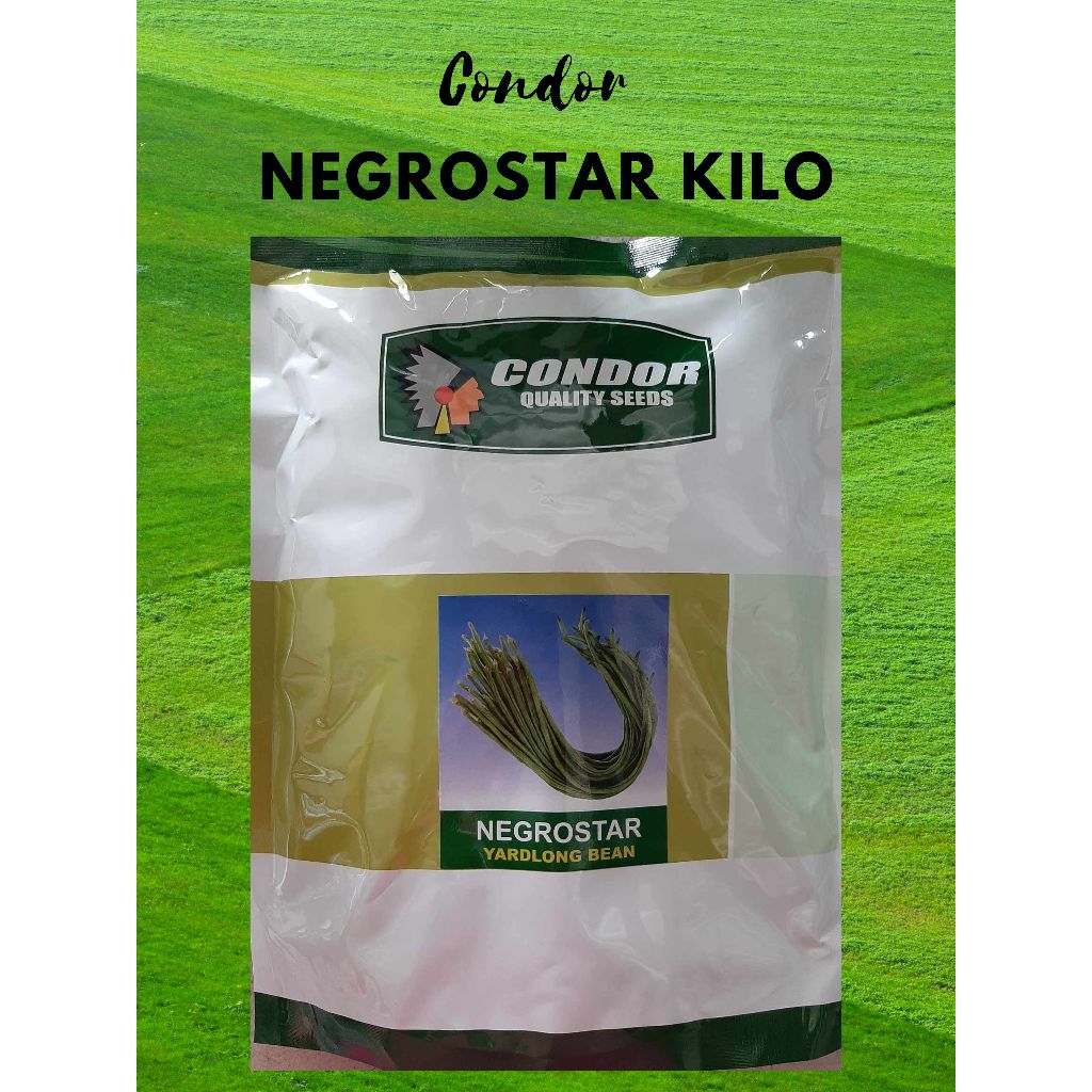 Condor Pole Sitaw Negrostar kg | Shopee Philippines