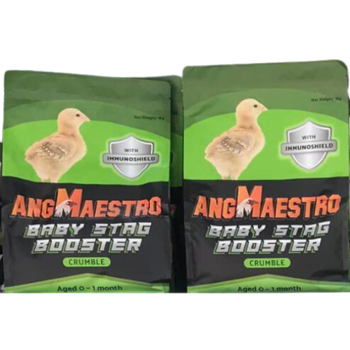 SUPPORTS RAPID GROWTH AND GOOD BONE STRUCTURE ANG MAESTRO BABY STAG ...