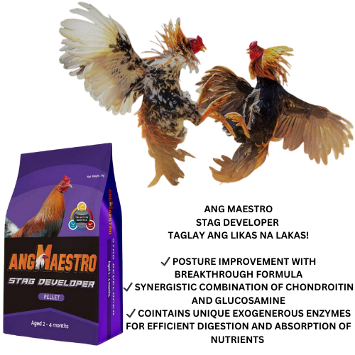 STAG DEVELOPER ANG MAESTRO PELLET PAMPATIBAY NANG BUTO, JOINTS AT ...