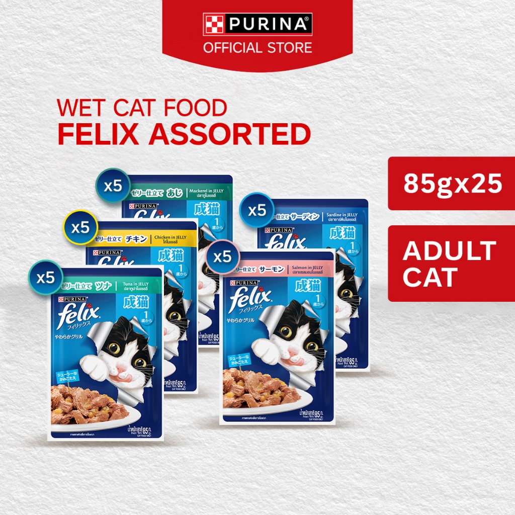 PURINA FELIX Assorted Adult Wet Cat Food - 85gx25 | Shopee Philippines