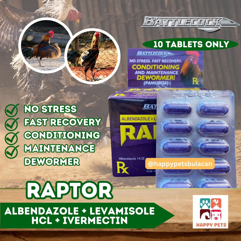 Raptor TINGI 10 tablets Conditioning | Shopee Philippines