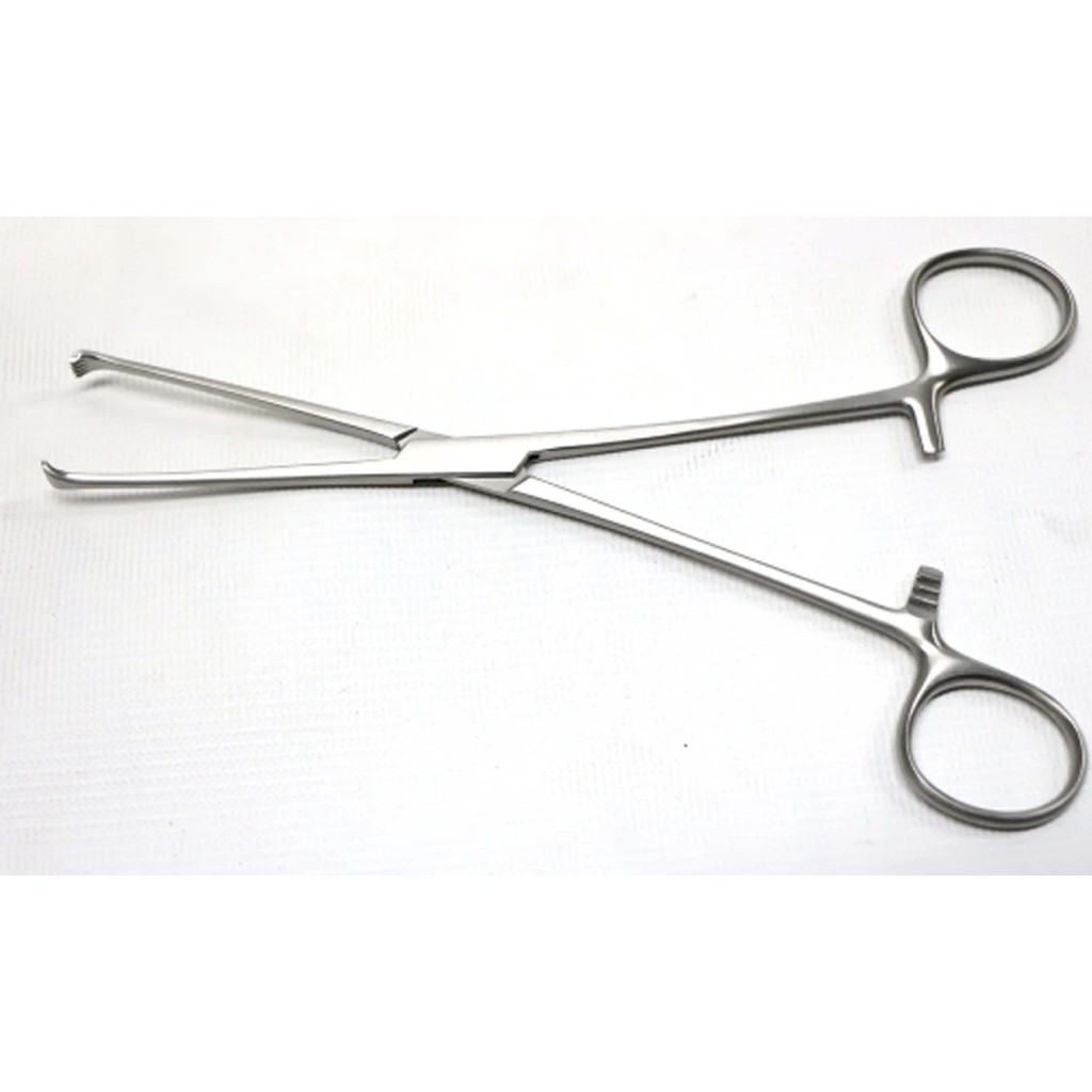 Allis tissue Forcep Stainless Steel 6 inches, 8inches | Shopee Philippines