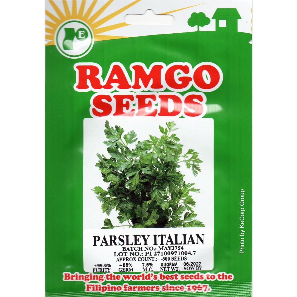 Ramgo RPD PARSLEY ITALIAN Seeds 0.5g _ALS2127 | Shopee Philippines