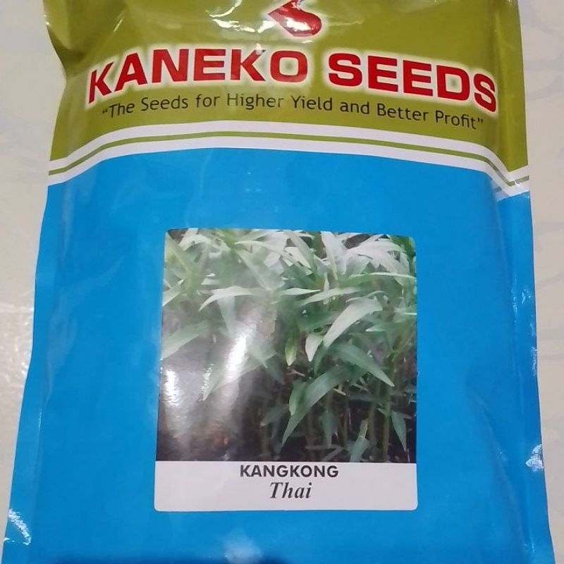 THAI KANGKONG SEEDS (1 KILO ) KANEKO SEEDS | Shopee Philippines
