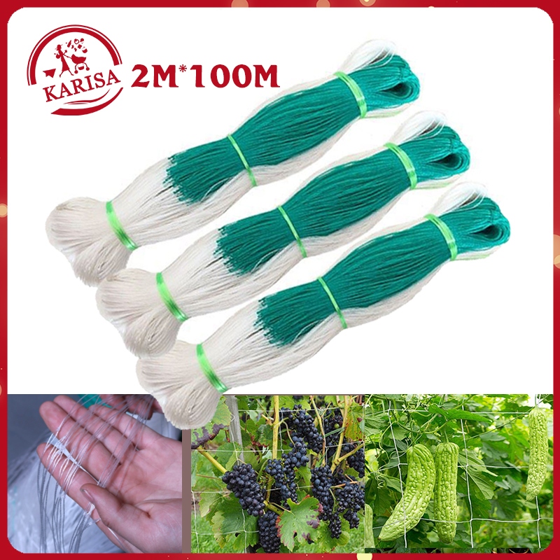 100Meter Plant Climbing Net Reusable Nylon Cucumber Vegetables Trellis Net 2M*100M | Shopee ...