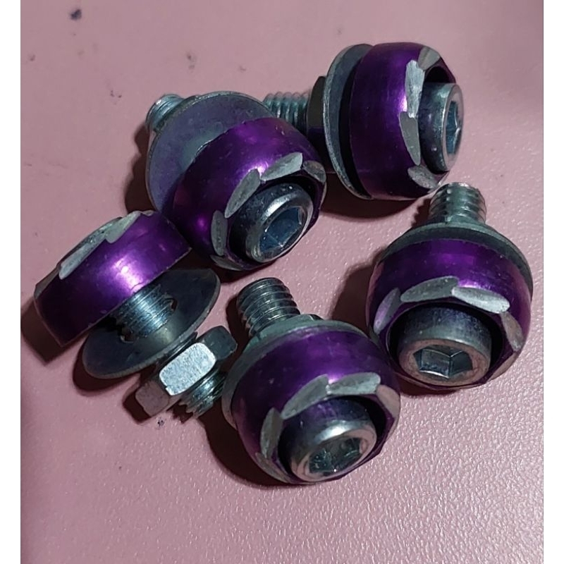 Violet, Motor Plate Bolts 2 pc.s | Shopee Philippines