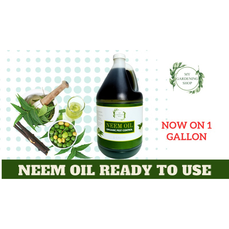NEEM OIL 1 GALLON READY TO USE FOR ALL TYPES OF PLANTS | Shopee Philippines