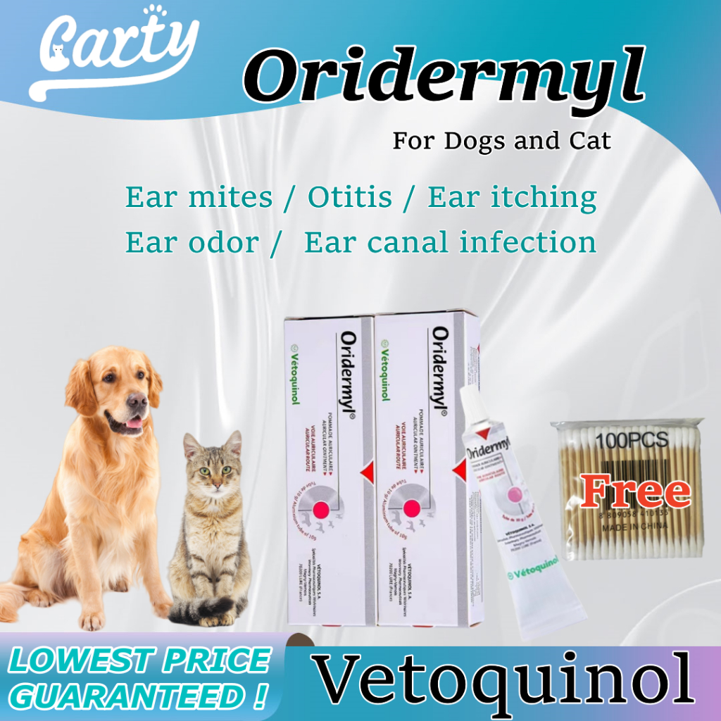 Pet Ear Drops Oridermyl Ear Ointment 10g treat ear mites, ear ...
