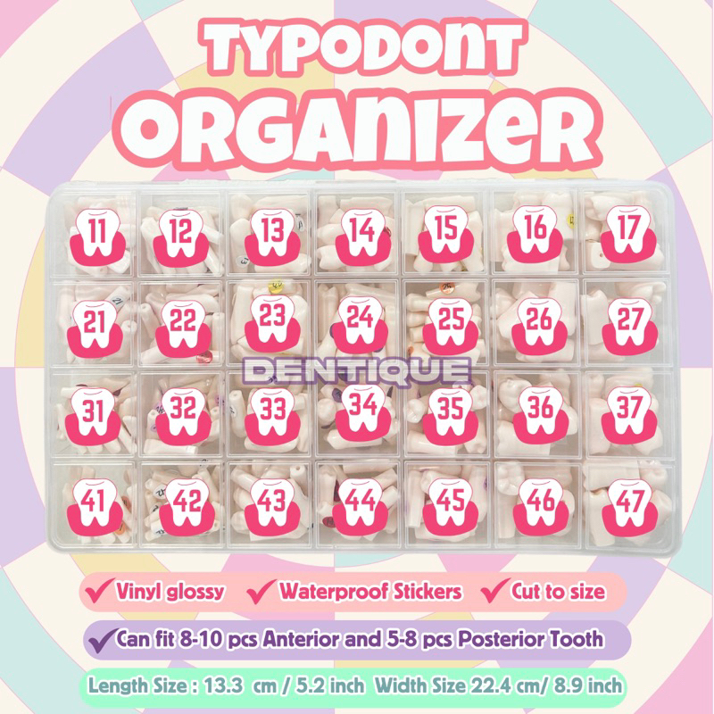 TYPODONT ORGANIZER LABEL STICKERS ONLY ( including the 3rd molars ...
