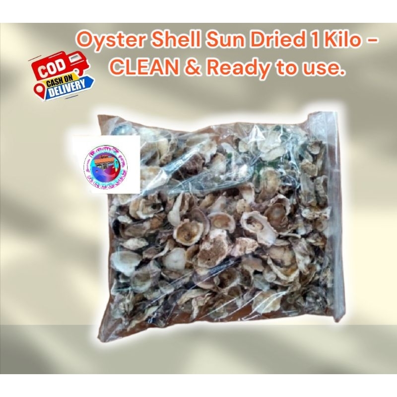 OYSTER empty shell Bio Filter Media 1 Kilo TALABA Sundried | Shopee ...