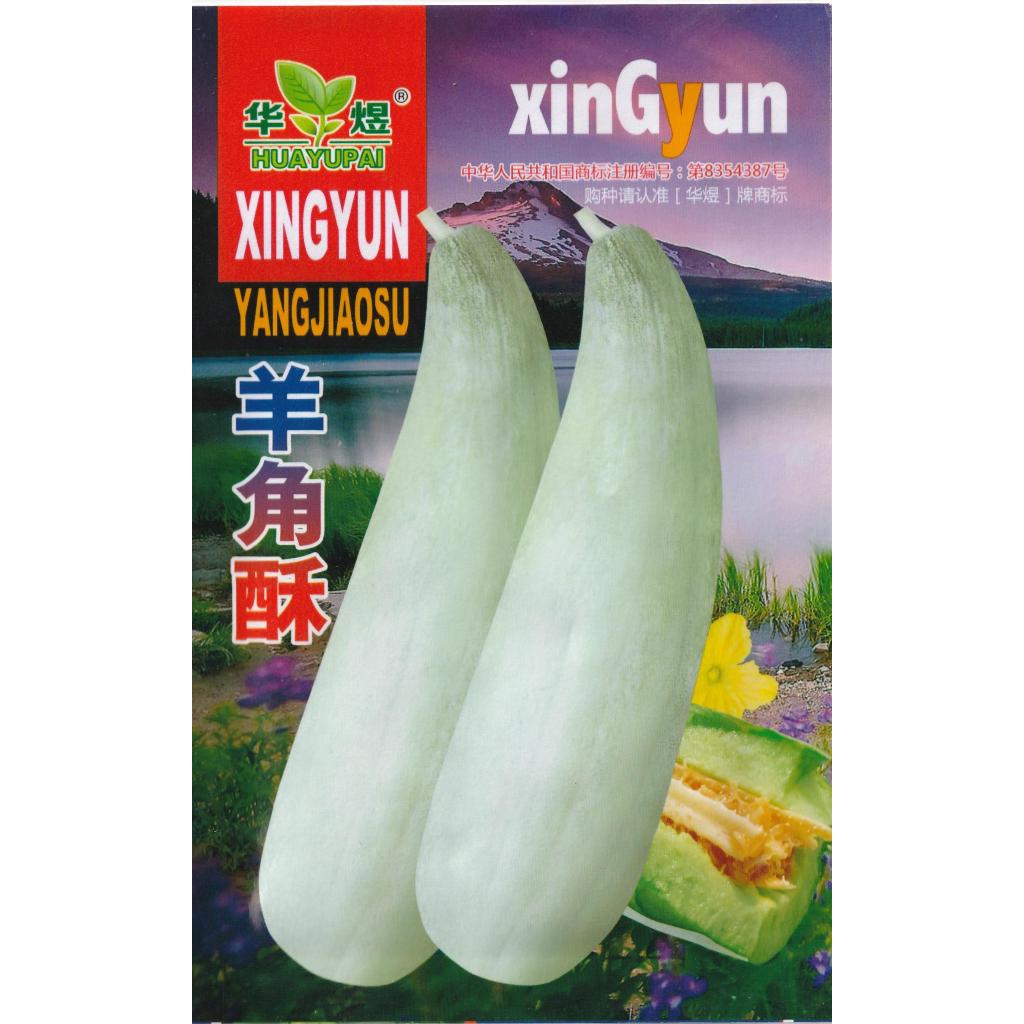 Sweet Goat Melon Fruit Seeds ( 20 seeds ) - Basic Farm House | Shopee ...