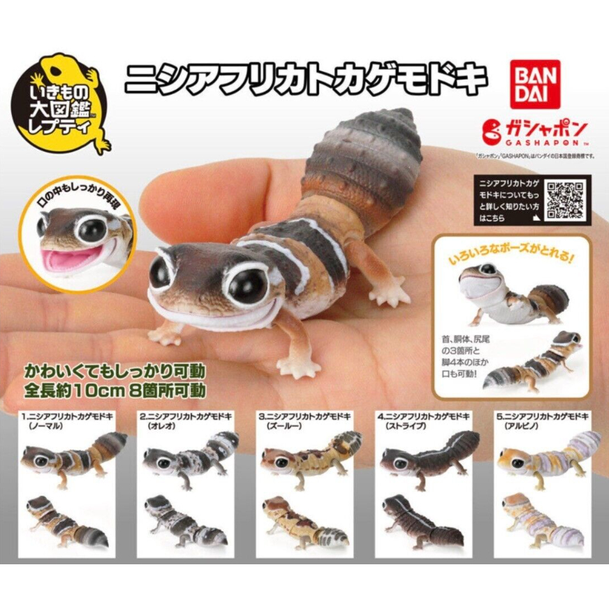 Bandai Gashapon African fat-tailed Gecko Figure | Shopee Philippines