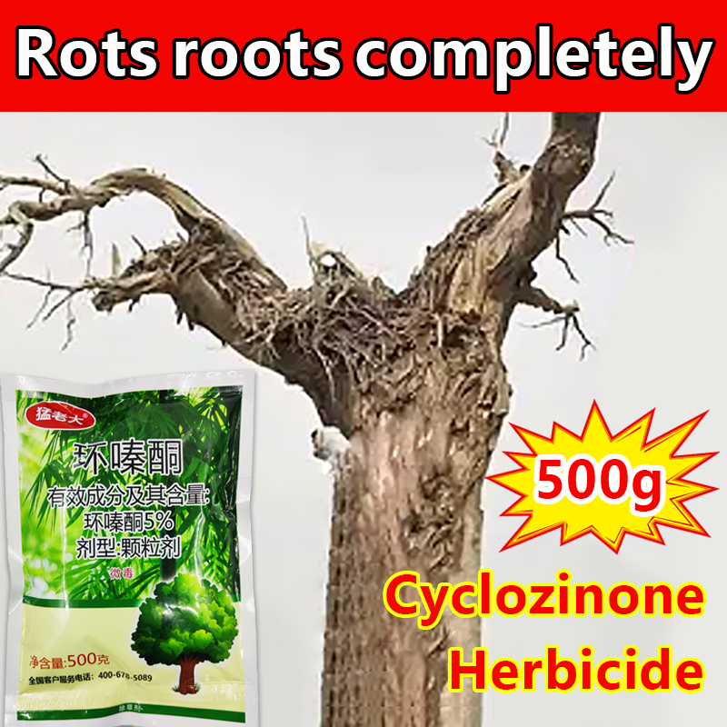 Cyclozinone herbicide 500g harmless to soil to kill tree bamboo and all ...