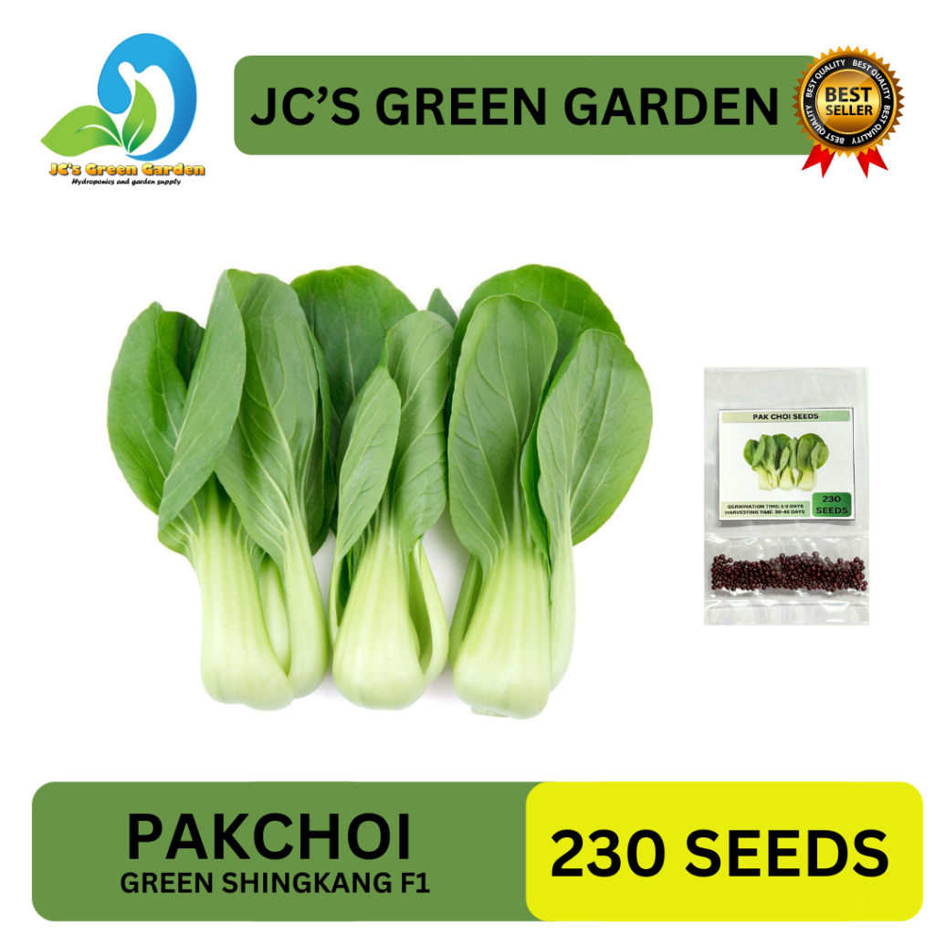VALUE PACK (230 SEEDS) CHINESE PECHAY/PAKCHOI SEEDS /GREEN STEM/FOR ...