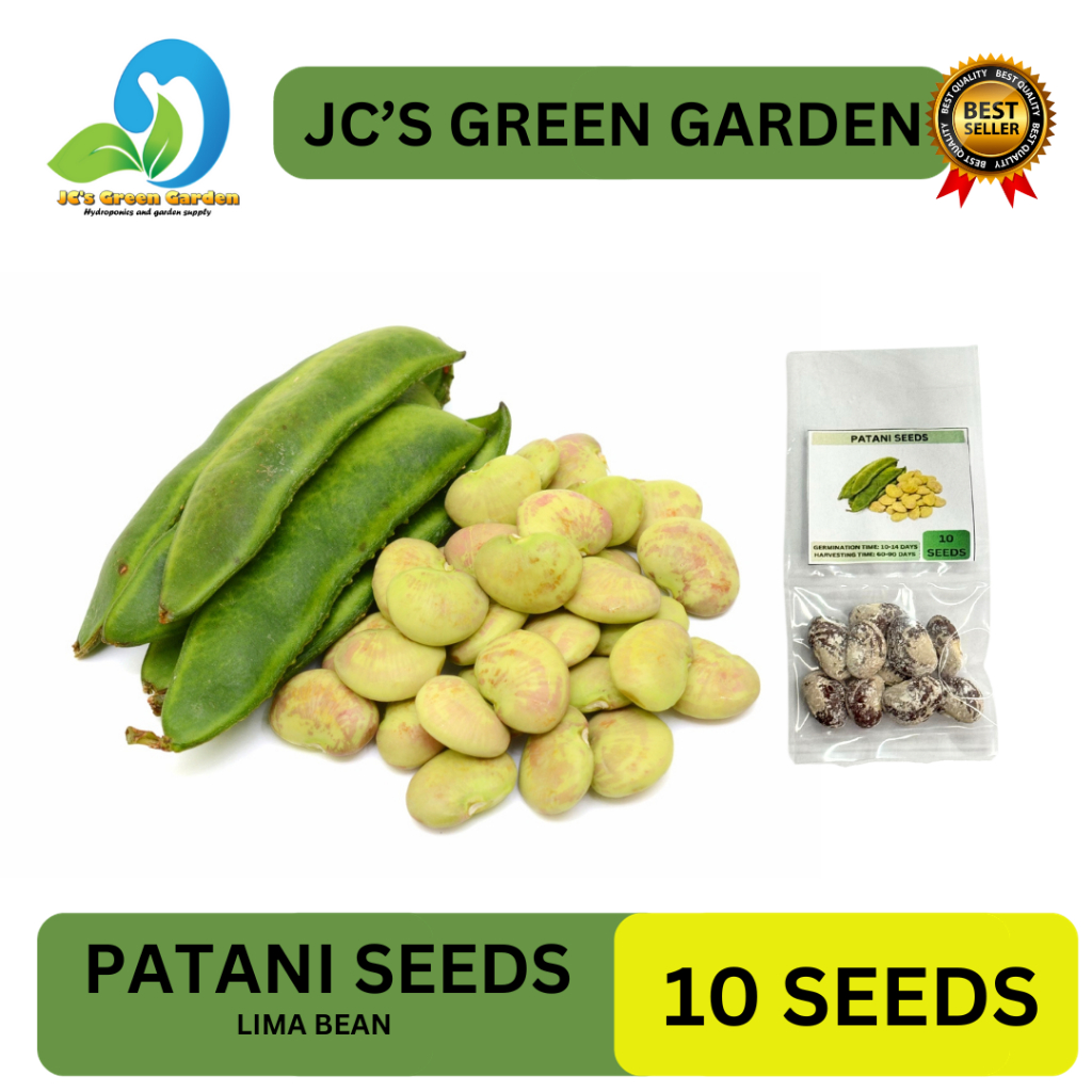 (10 SEEDS) PATANI/LIMA BEAN SEEDS/HIGH YIELD/EAST TO GROW | Shopee ...