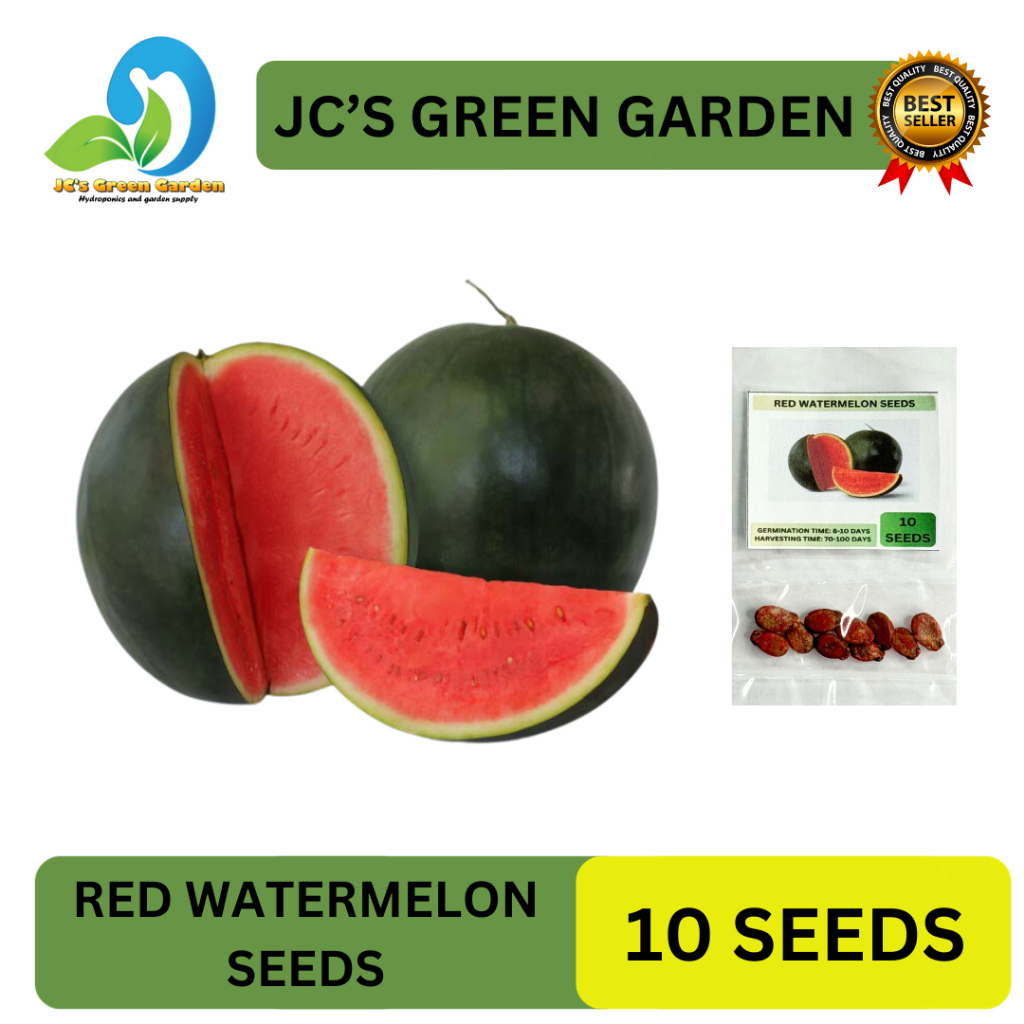 (10 SEEDS) RED WATERMELON SEEDS/F1 SUGARBABY VARIETY/FOR PLANTING/HIGH ...