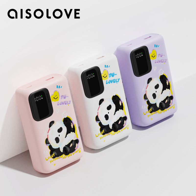 AISOLOVE W18-2W LED HD Digital Display Power Bank with Lightning & TYPE ...