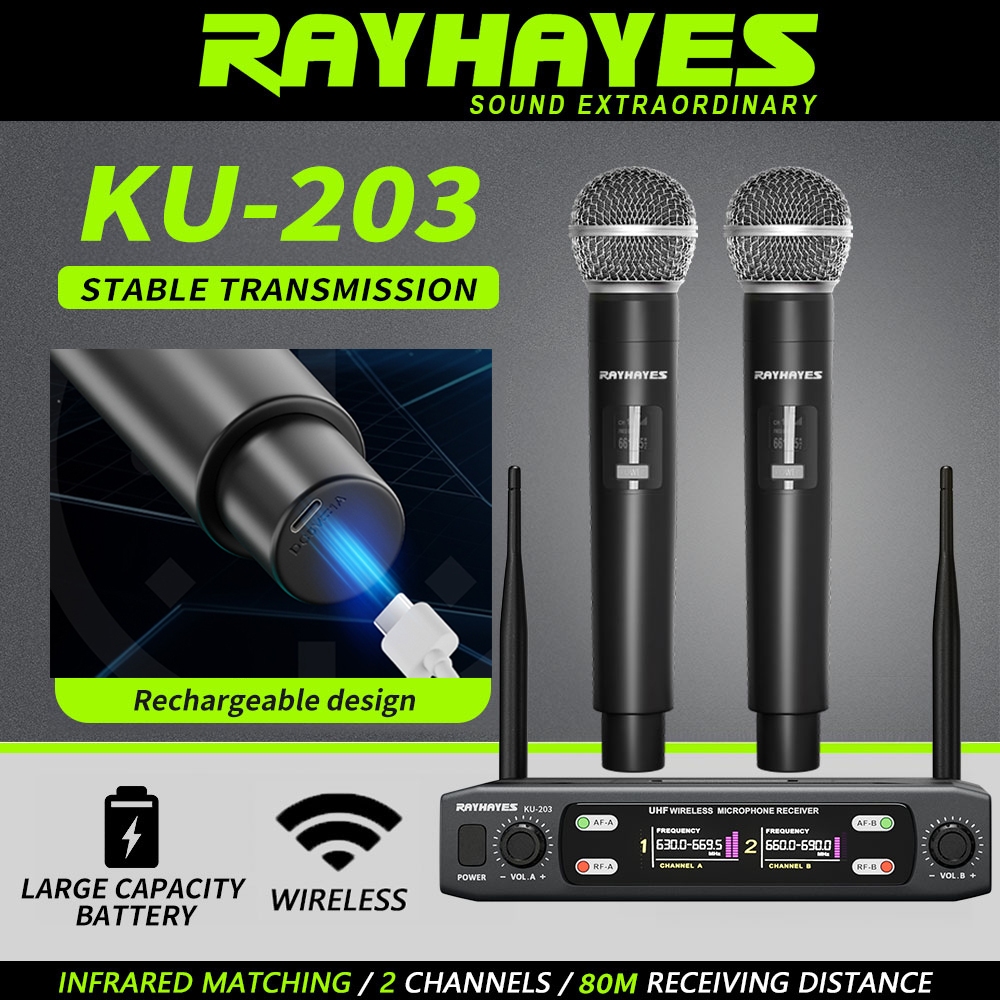 RAYHAYES Professional DUAL Wireless Microphone Rechargeable Microphone ...