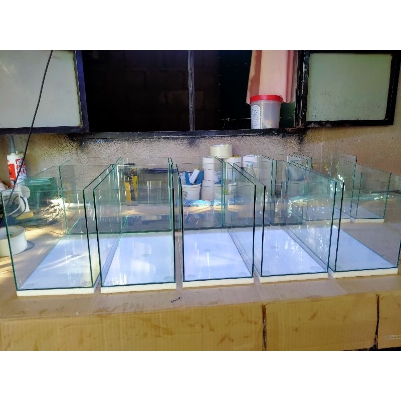 2.5gallon tank 12x6x8 inches LWH Standard Size | Shopee Philippines