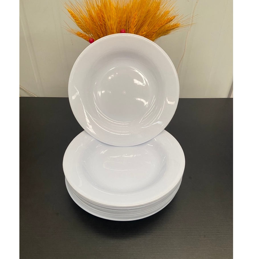 GMINI 6/12pcs 23-25cm High Quality Pure White/Mocha Round Plates ...