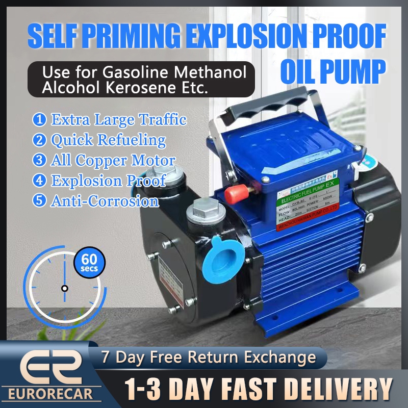 220V Self-Priming Explosion Proof Fuel Transfer Pump Electric Transfer ...