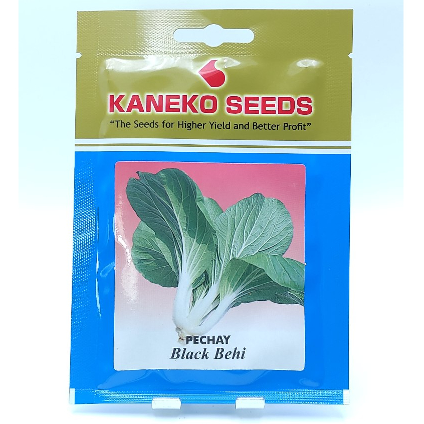 KANEKO SEEDS BLACK BEHI PECHAY SEEDS (10 GRAMS) | Shopee Philippines