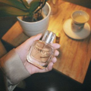 Mimosa Moonlight by Luminor Fragrances | Eau de Parfum | Shopee Philippines