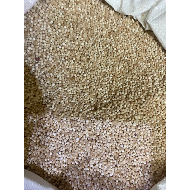 SAGO PEARL RAW / Small / Medium / Large ( Available in 1kg / 500g ...