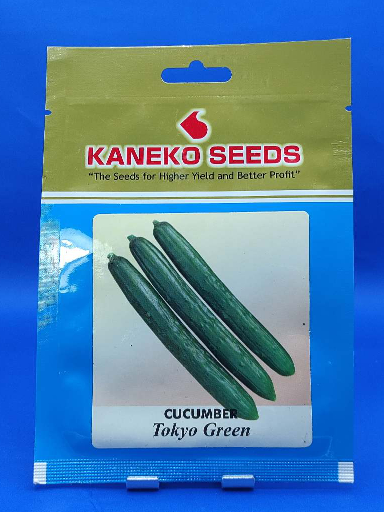 KANEKO SEEDS TOKYO GREEN JAPANESE CUCUMBER SEEDS (1 GRAM) | Shopee ...