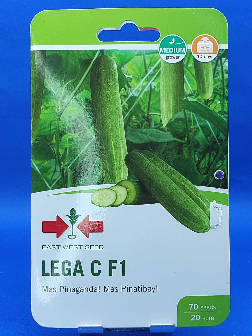 EAST-WEST SEED LEGA C F1 HYBRID CUCUMBER/PIPINO POUCH (70 SEEDS ...
