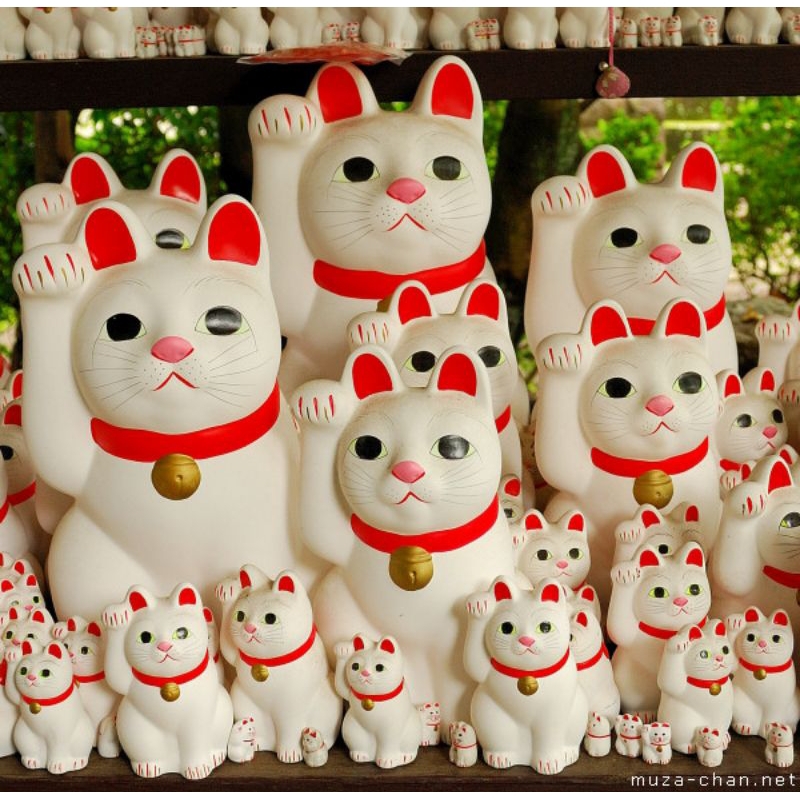 for live selling check out link for Sir/Ma'am atheenamang | Shopee Philippines