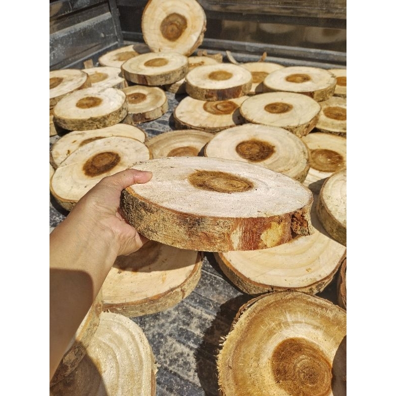 wood log chopping board 8-13 inches diameter | Shopee Philippines