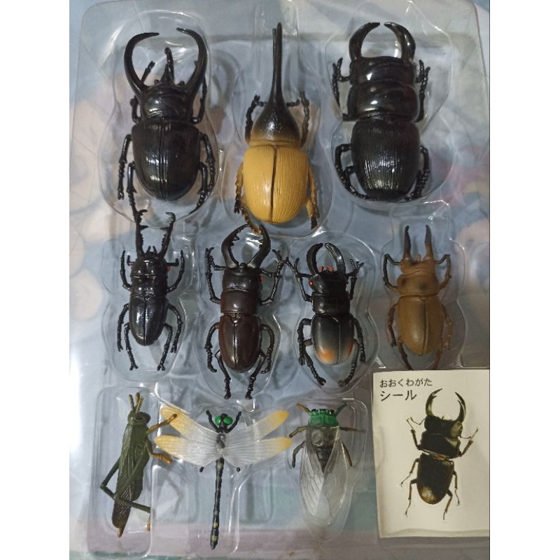Beetle Insect Realistic Rubber Model Collectible | Shopee Philippines