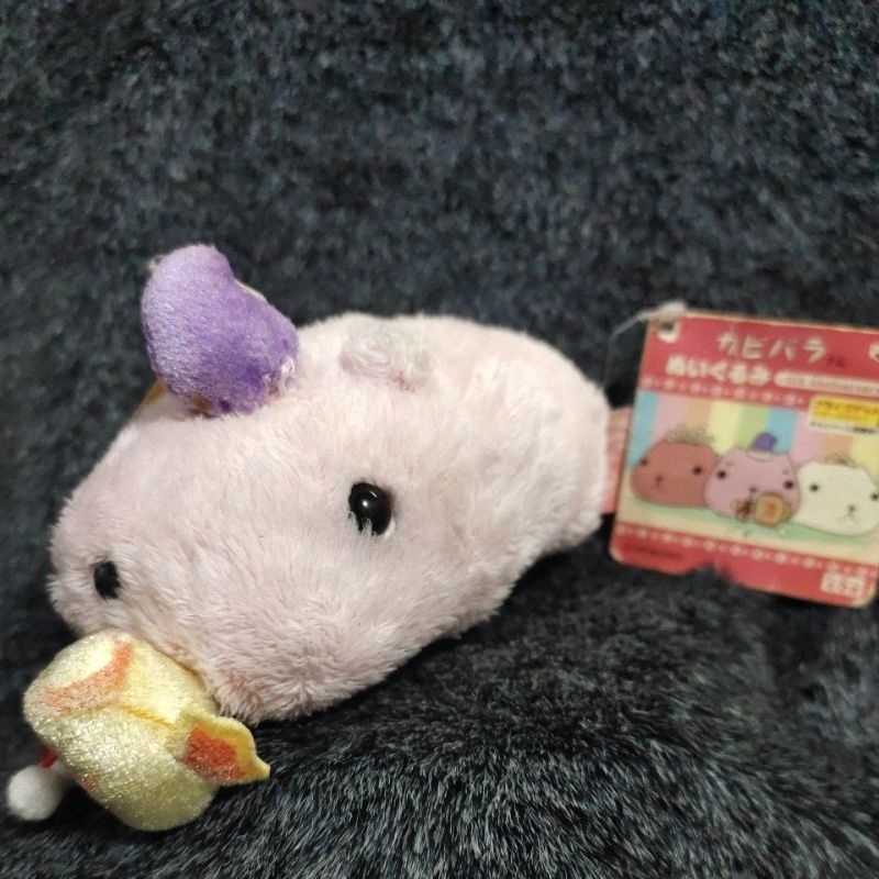 ORIGINAL COLLECTIBLE CAPYBARA-SAN C2601plush | Shopee Philippines