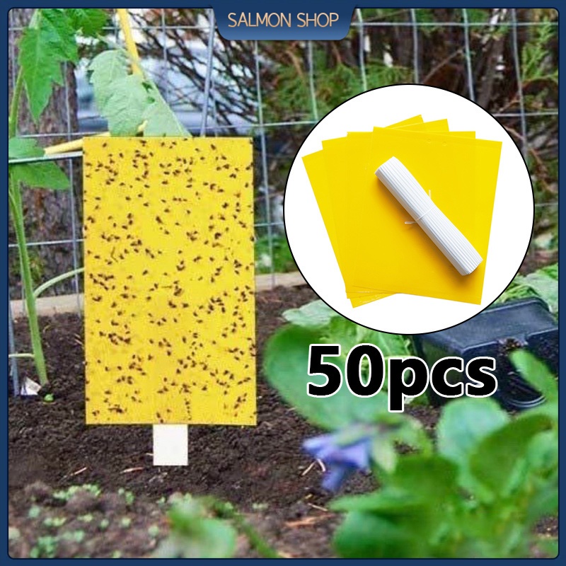 50pcs Double Sided Sticky Insect Board Anti Insect Sticky Board Yellow ...