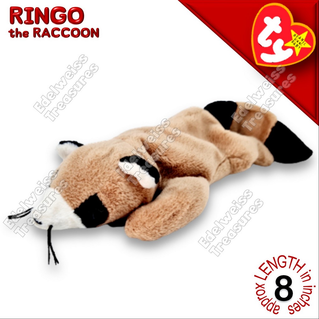 TY Regular Beanie Babies 8" RINGO the Raccoon Stuffed Toy | Shopee ...