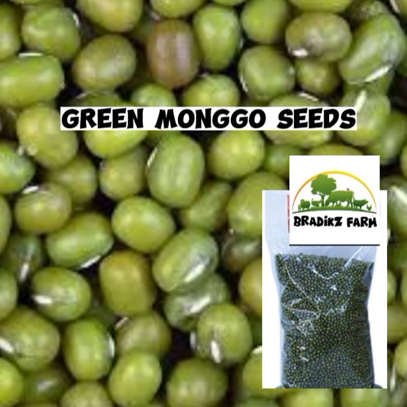 Green Monggo seeds (1 bottle, 250g) | Shopee Philippines
