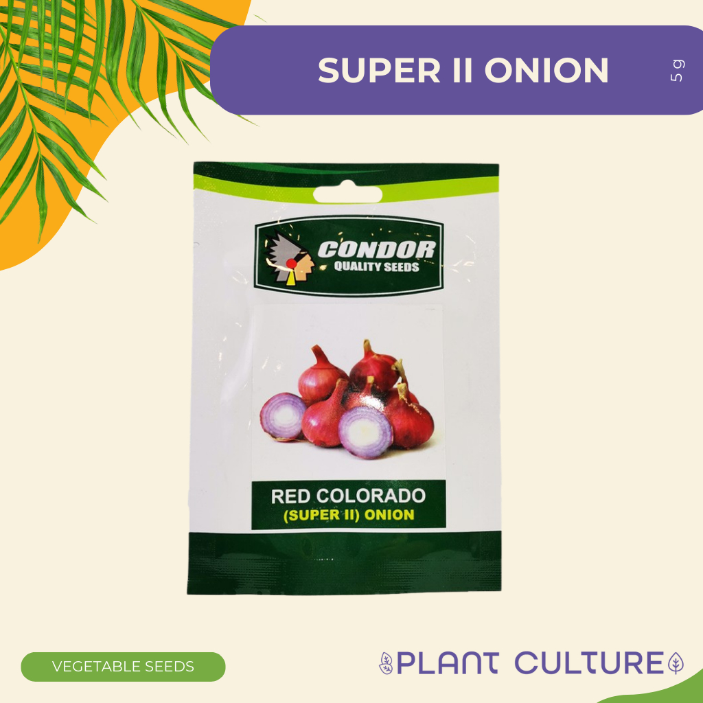 Condor Quality Seeds Superii Onion Red Colorado 5G | Shopee Philippines