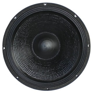 Joson BATTLE MIDVOCAL 12 Professional Mid speaker | Shopee Philippines