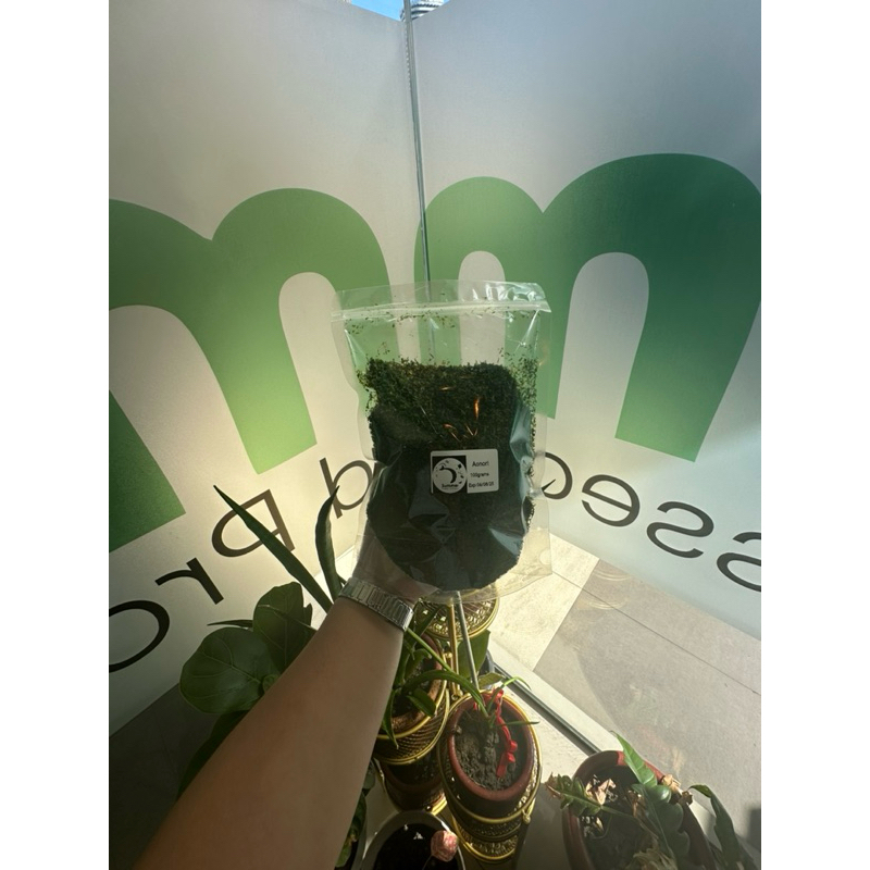 AONORI FLAKES 100GRAMS AUTHENTIC | Shopee Philippines