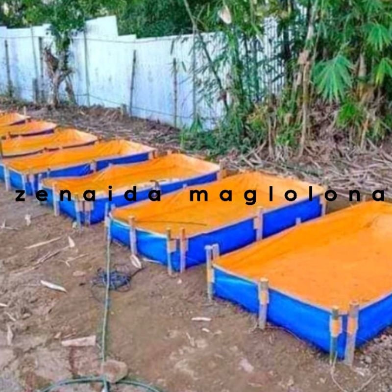 (4x6x1ft) MAYAMA BRAND AZOLLA POND FISH TANK DIY POND LOWEST PRICE ...